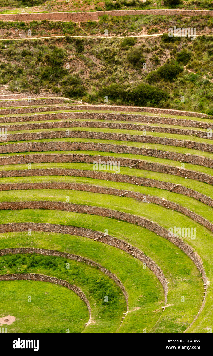 Circular Agricultural Inca Terraces at Moray, Peru Stock Photo - Alamy