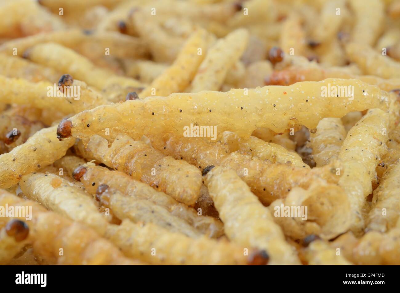 Fried worm bamboo Stock Photo - Alamy