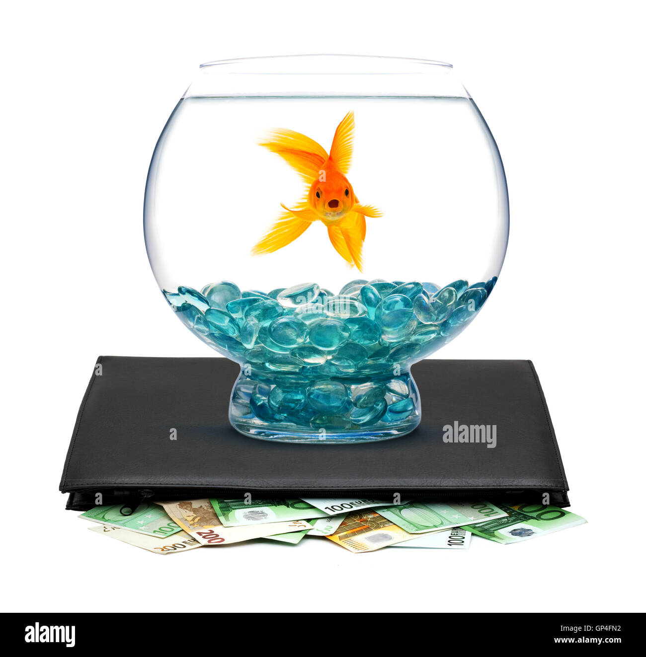 Goldfish with money Stock Photo - Alamy