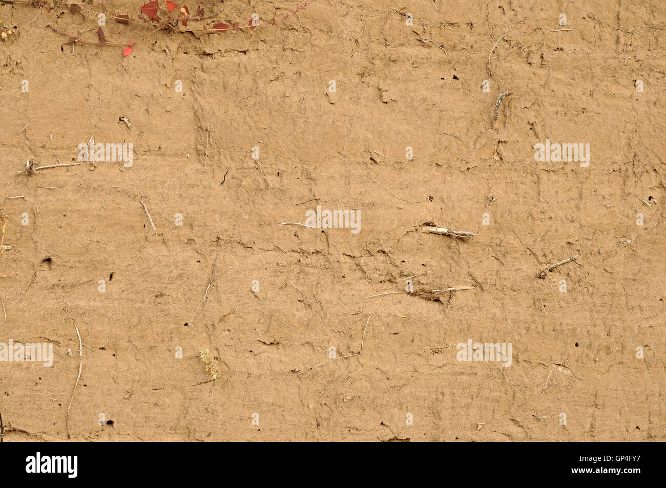 sand closeup as texture Stock Photo - Alamy