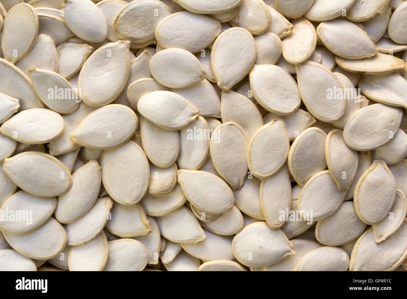 White pumpkin seeds background Stock Photo - Alamy