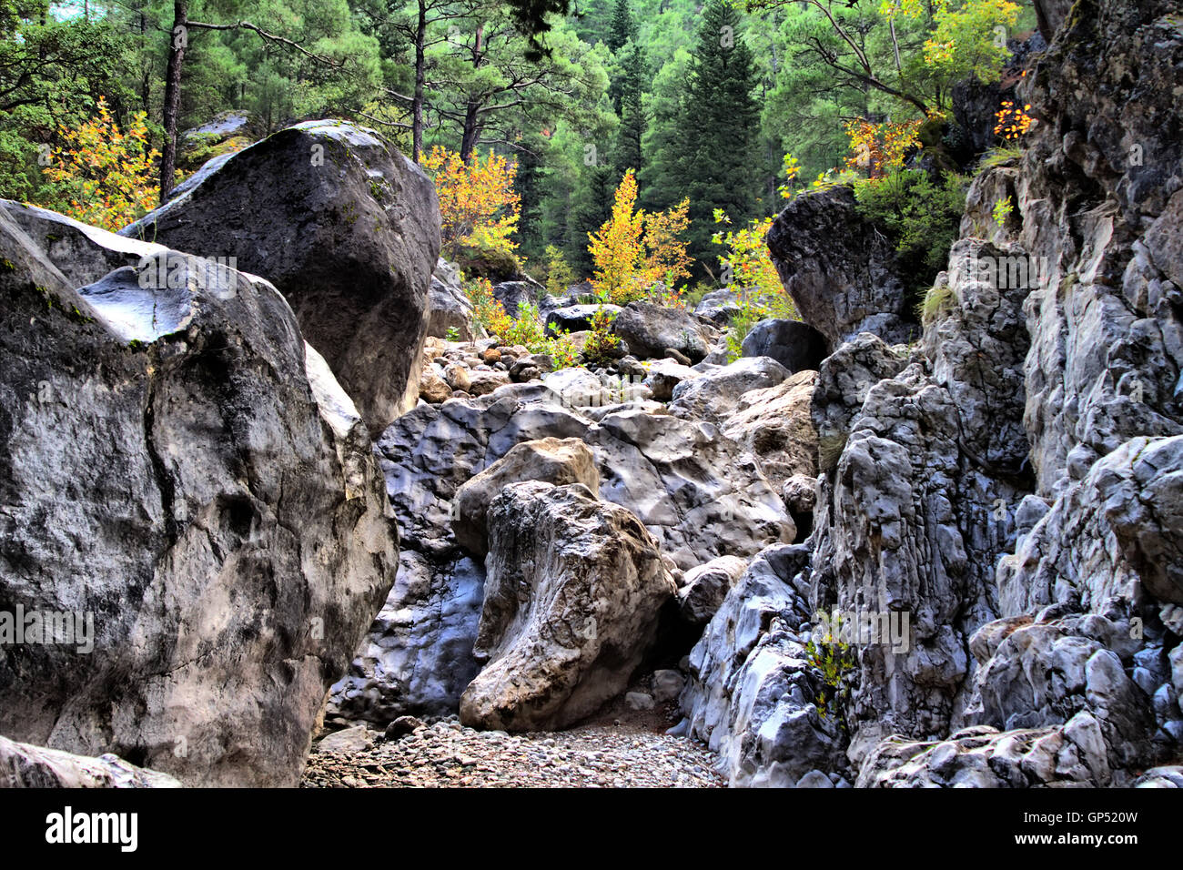 Clear water flows between hi-res stock photography and images - Alamy
