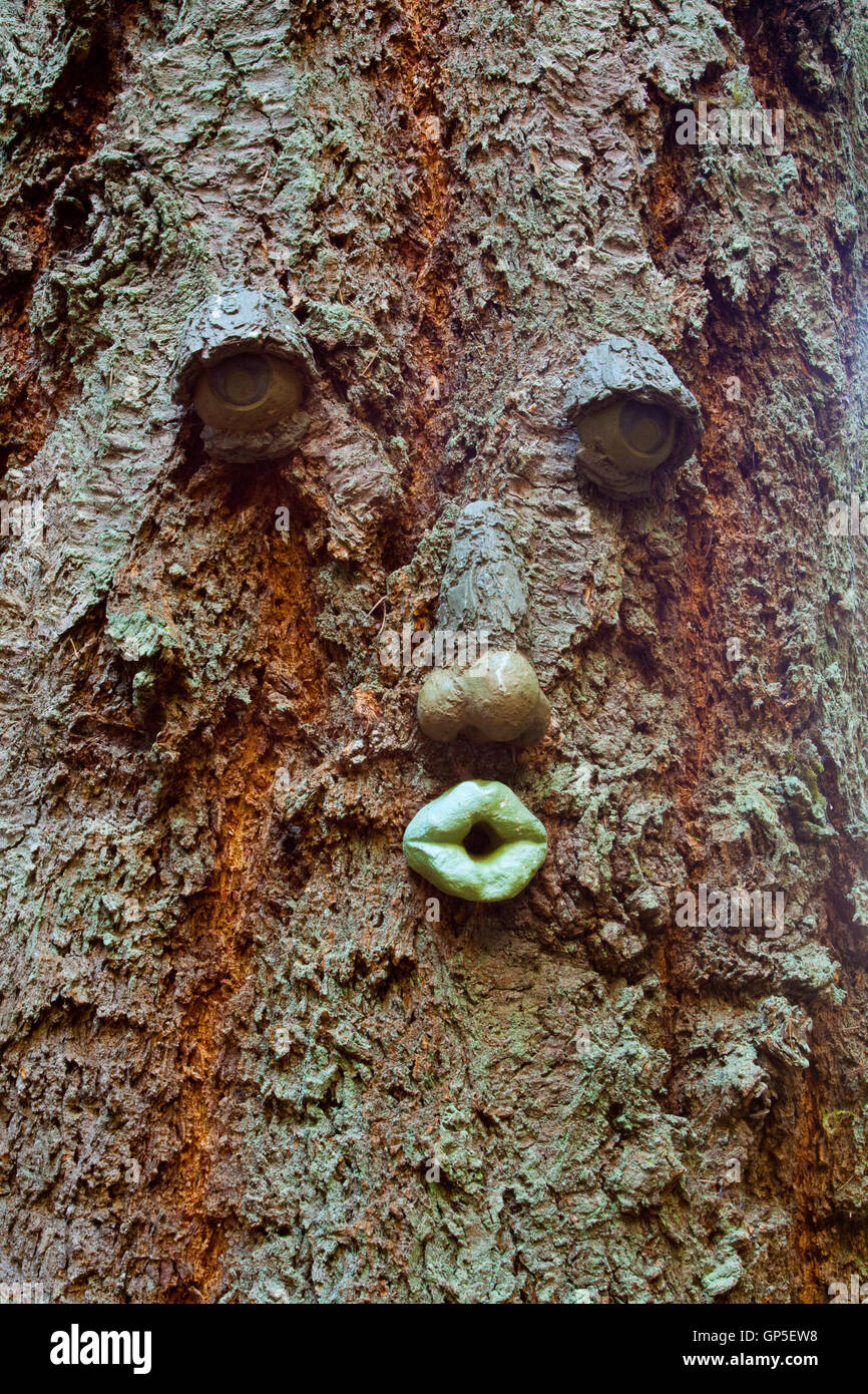 Funny face in tree bark hi-res stock photography and images - Alamy