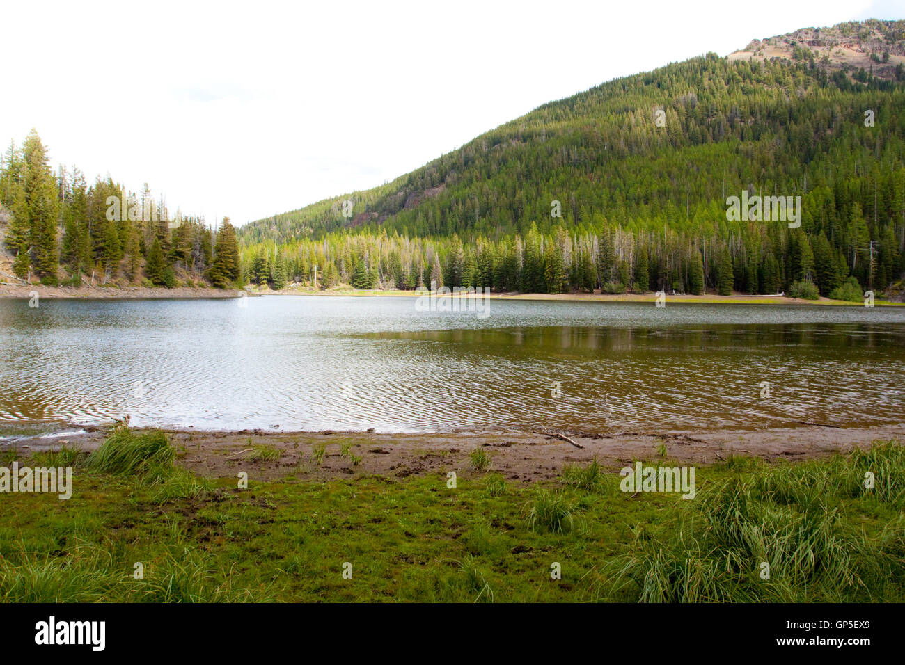 Strawberry reservoir hi-res stock photography and images - Alamy
