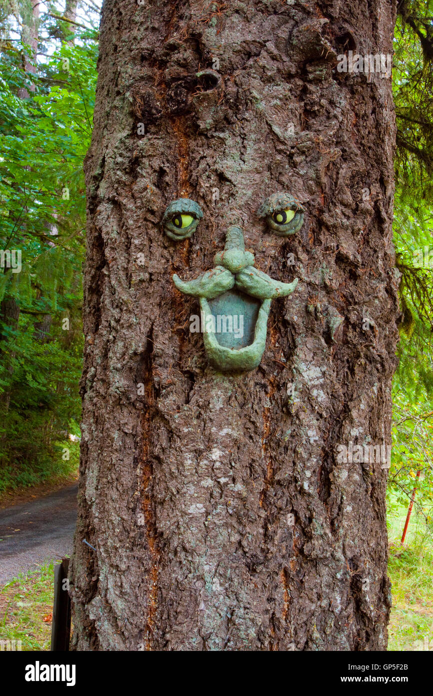 Faces in tree bark hi-res stock photography and images - Alamy