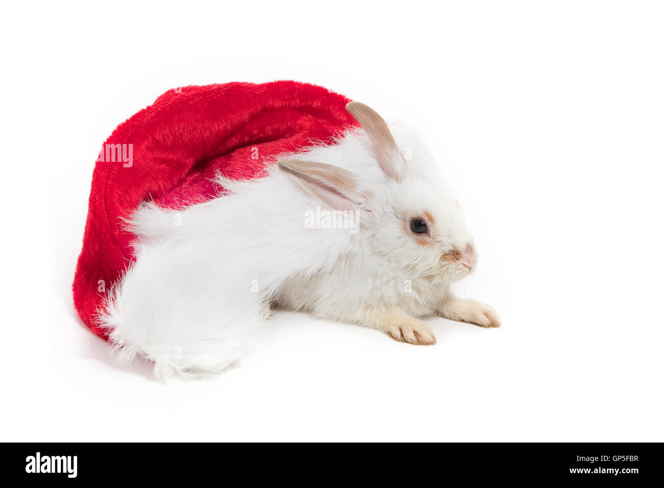 Red bunny hat hi-res stock photography and images - Alamy