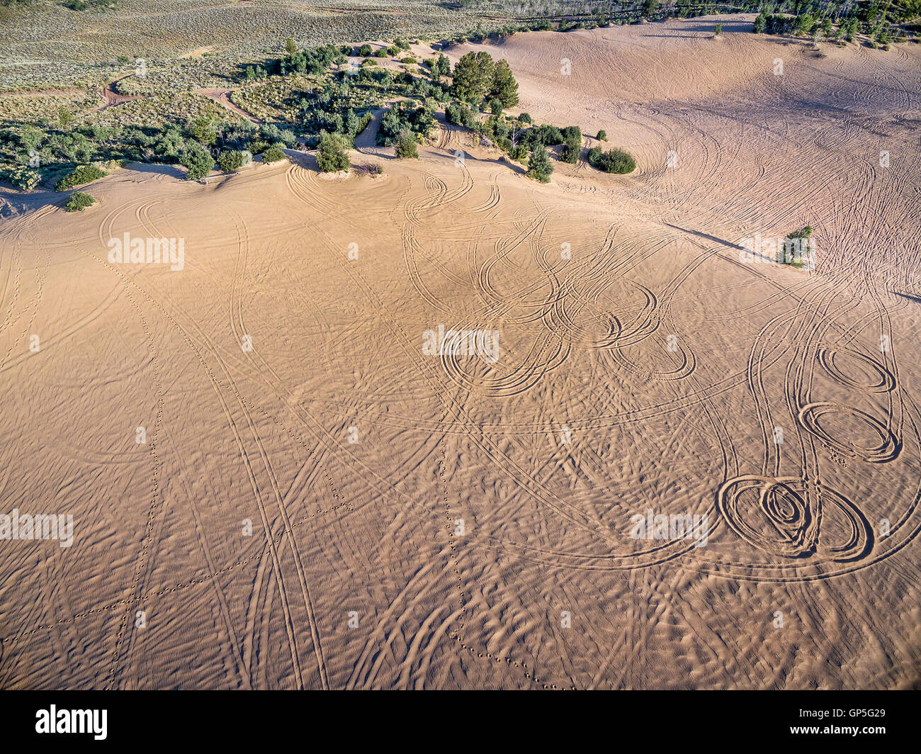footprints and vehicle tracks on sand at North Sand Hills, only place ...