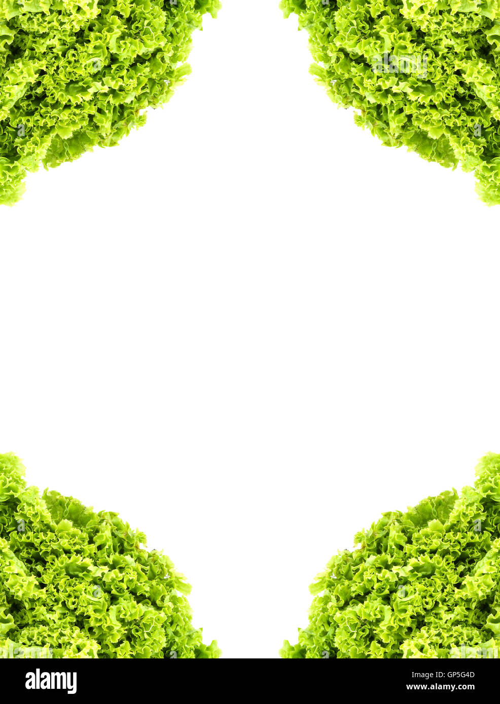 Green butter Lettuce Stock Photo - Alamy