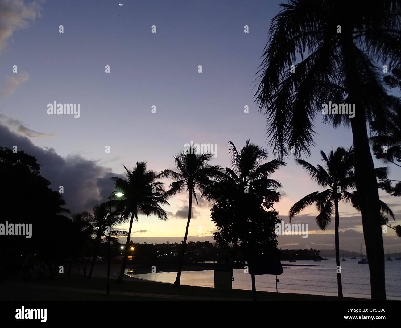 Moonlight Swim High Resolution Stock Photography and Images - Alamy