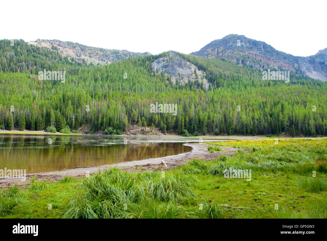 Strawberry reservoir hi-res stock photography and images - Alamy