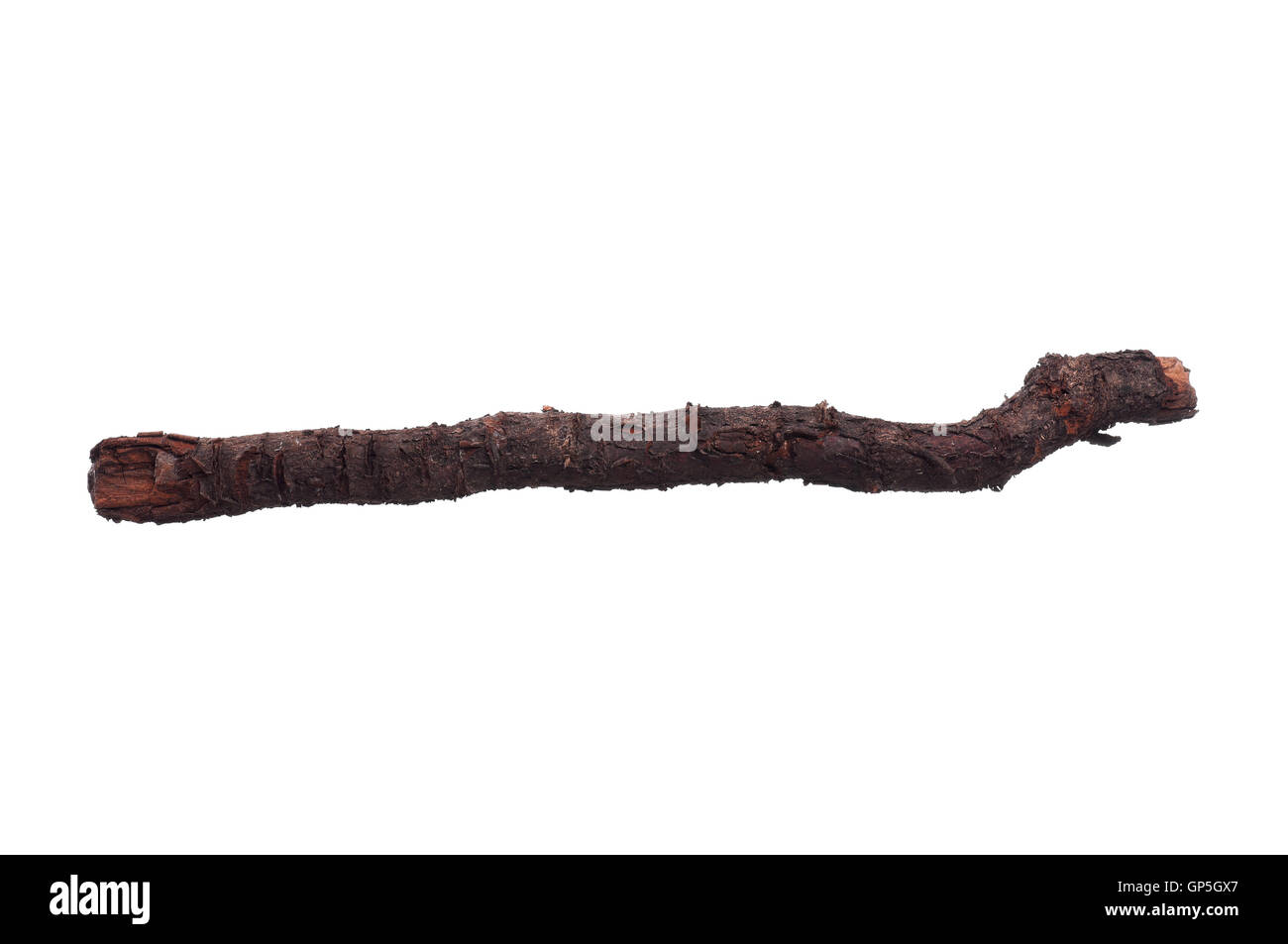 Tree branch limb dry Cut Out Stock Images & Pictures - Alamy