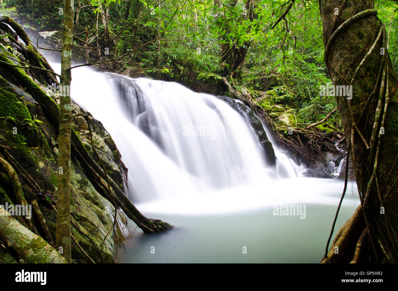 Deep forest Waterfall Stock Photo - Alamy