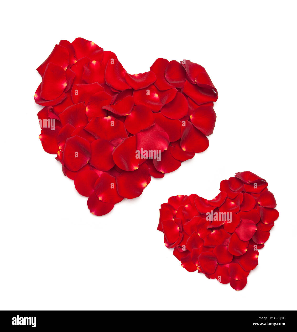 Rose cute out Cut Out Stock Images & Pictures - Alamy