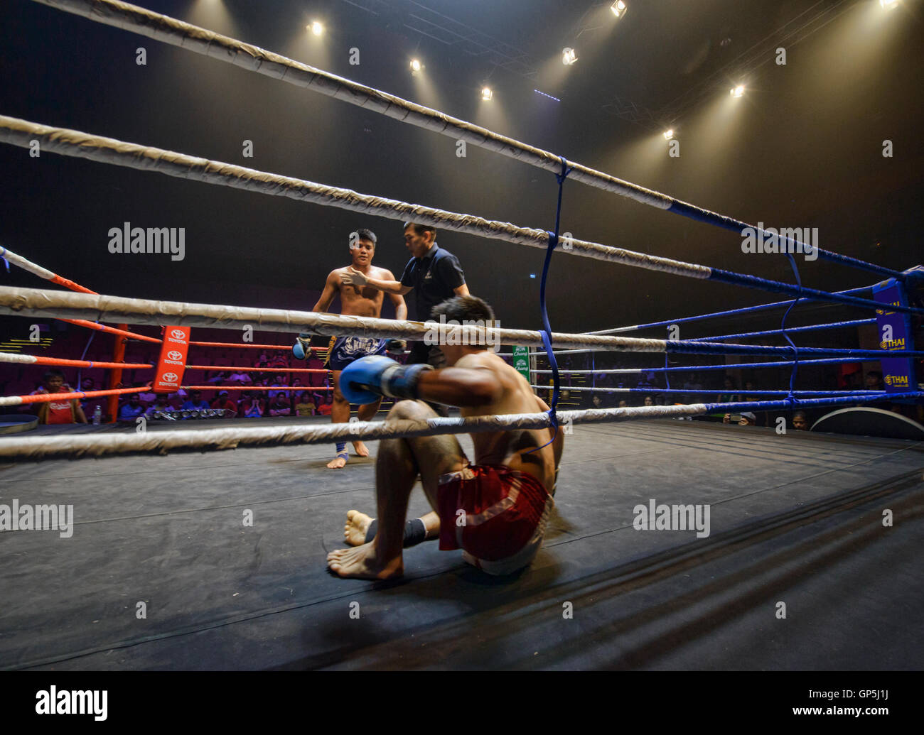 Muay Thai boxers in action, Bangkok, Thailand Stock Photo - Alamy