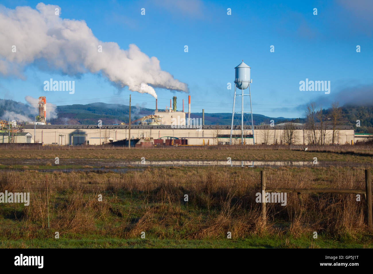 Paper chemicals plant hi-res stock photography and images - Alamy