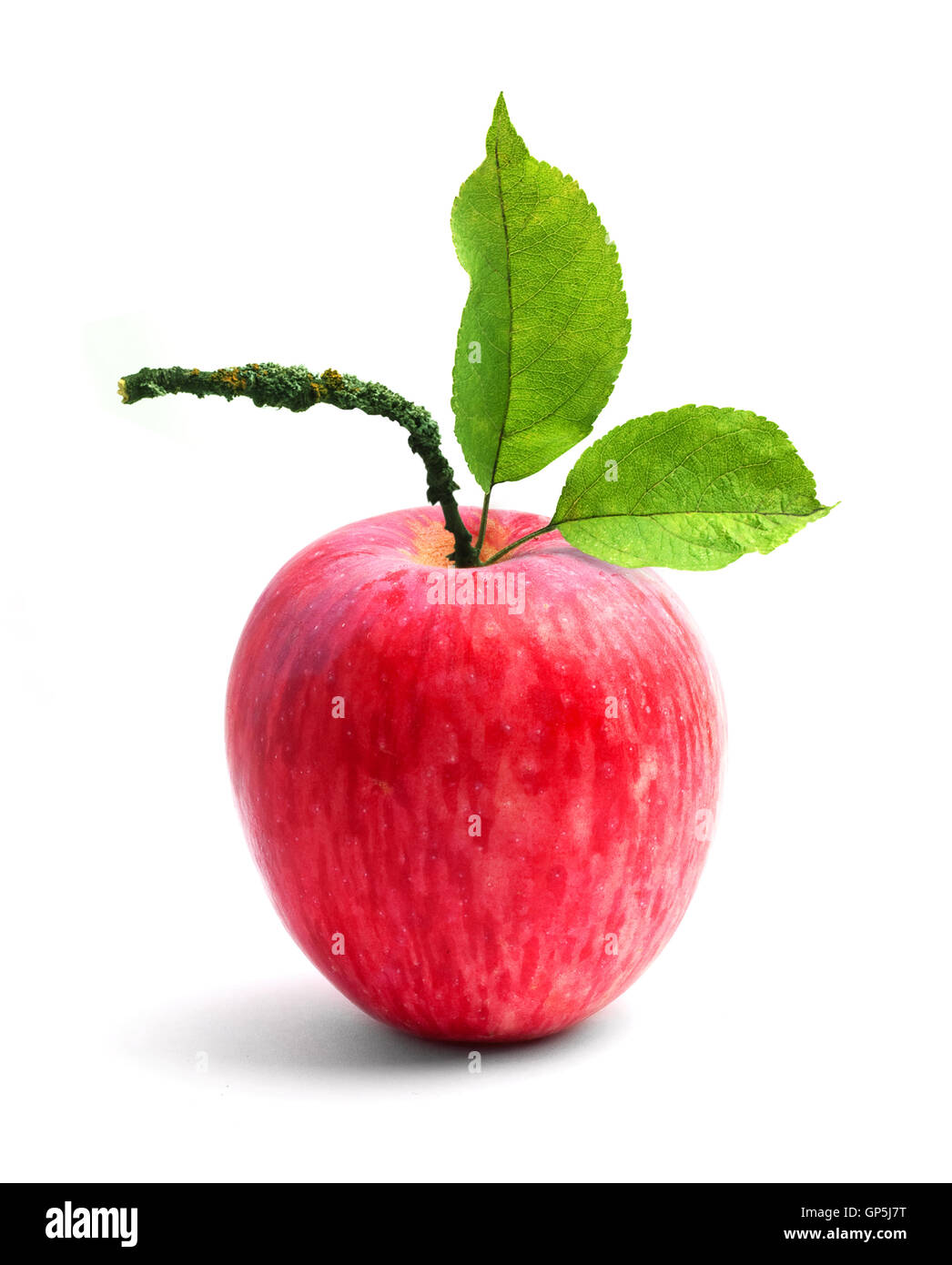 Human food market Cut Out Stock Images & Pictures - Alamy