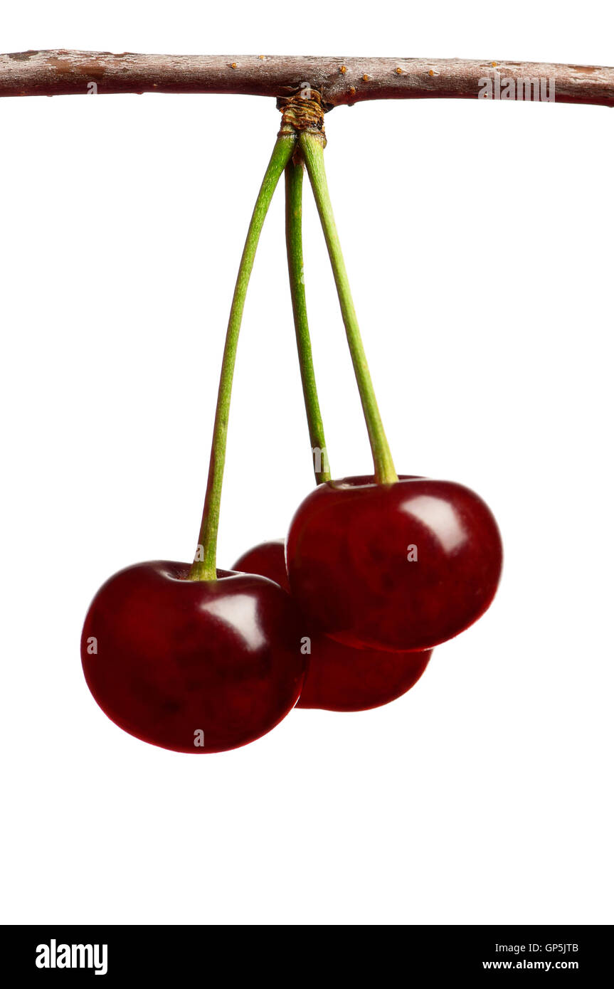 Cherries tree branch Cut Out Stock Images & Pictures - Alamy