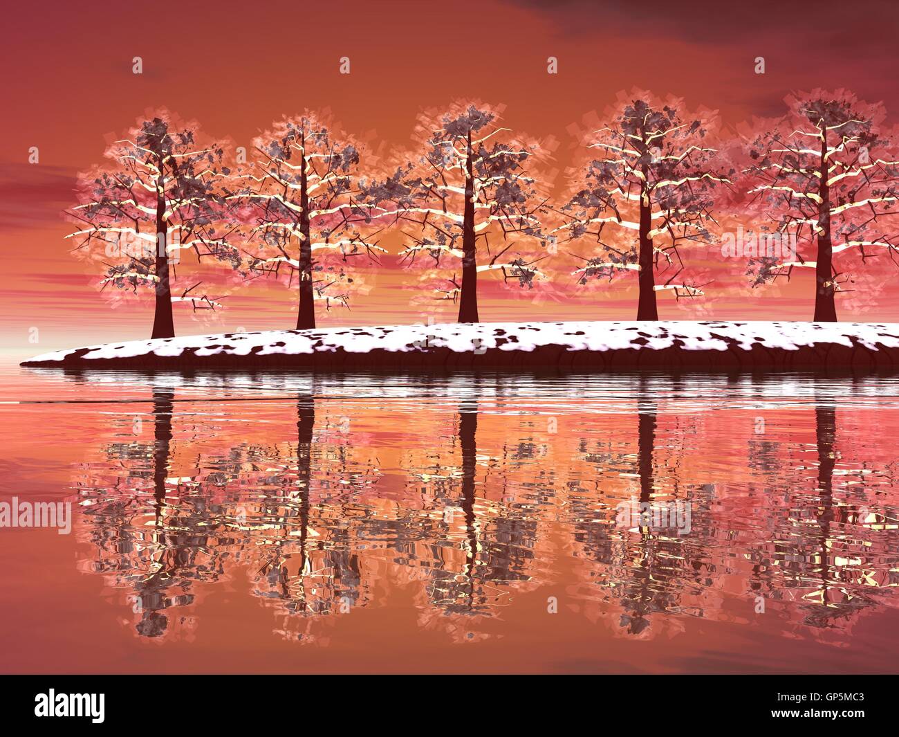 Winter trees by sunset Stock Photo - Alamy