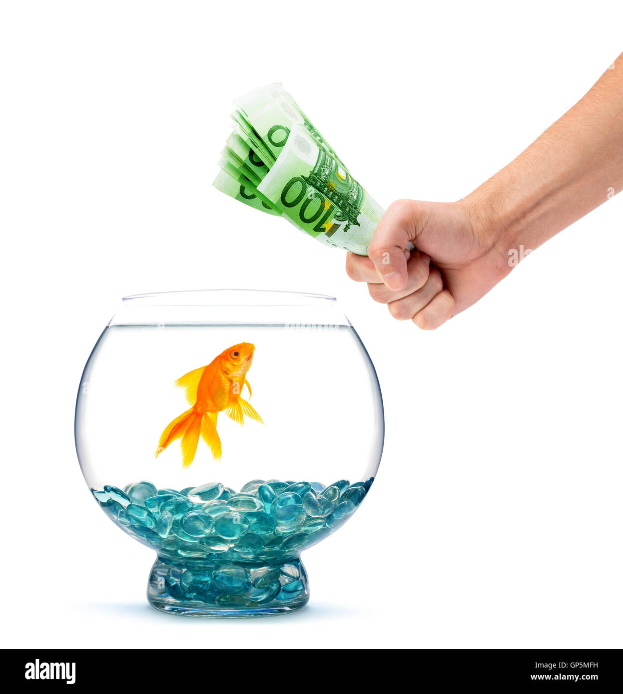 Giving fish Cut Out Stock Images & Pictures - Alamy