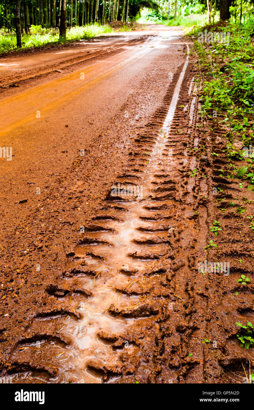 Mud Road trough rubber plantation Stock Photo - Alamy