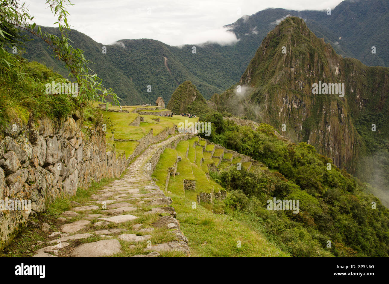 Inca Trail at Machu Picchu Stock Photo - Alamy