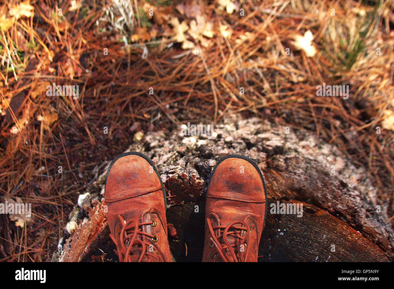 Boots in the Forest Stock Photo - Alamy