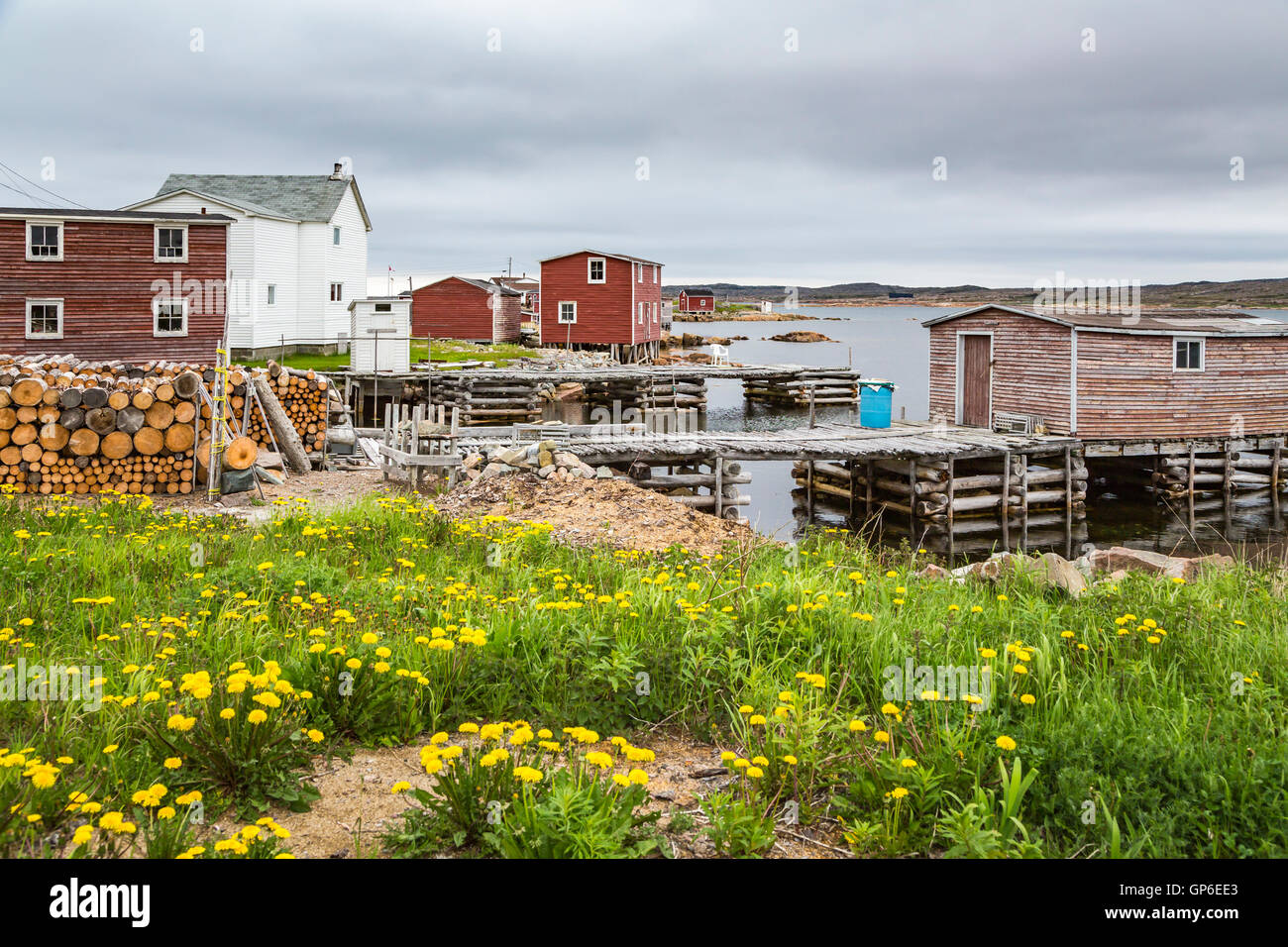 Fishing boats and stages in the harbor at Joe Batt's Arm-Barr'd Islands ...