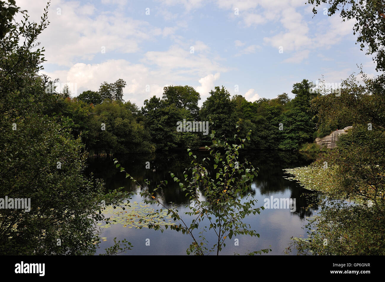 Rock wood park Uckfield East Sussex Stock Photo - Alamy