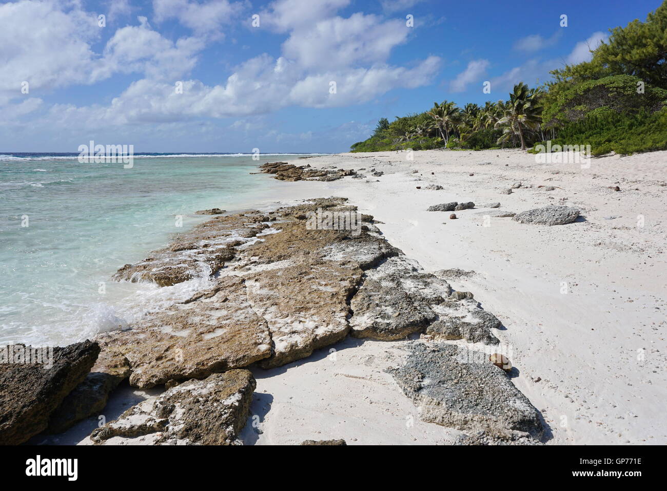 Wild tropical shore on the open sea side of the atoll of Rangiroa ...