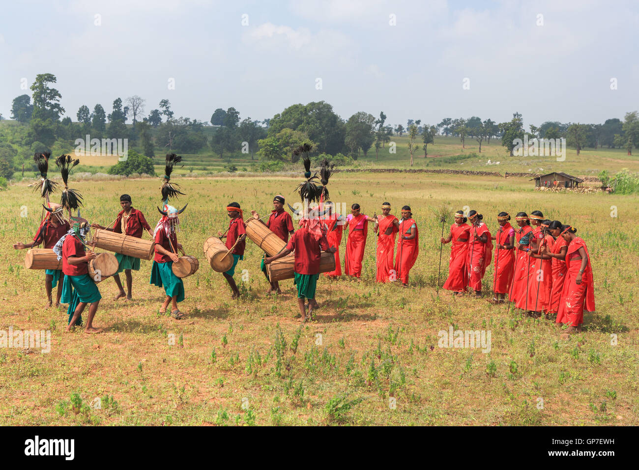 Bison horn dancers, bastar, chhattisgarh, india, asia Stock Photo - Alamy