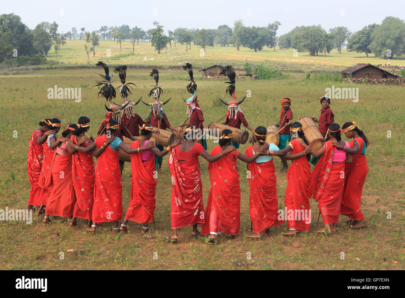 Bison horn dancers, bastar, chhattisgarh, india, asia Stock Photo - Alamy