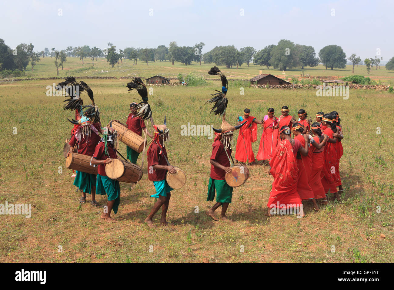 Bison horn dancers, bastar, chhattisgarh, india, asia Stock Photo - Alamy