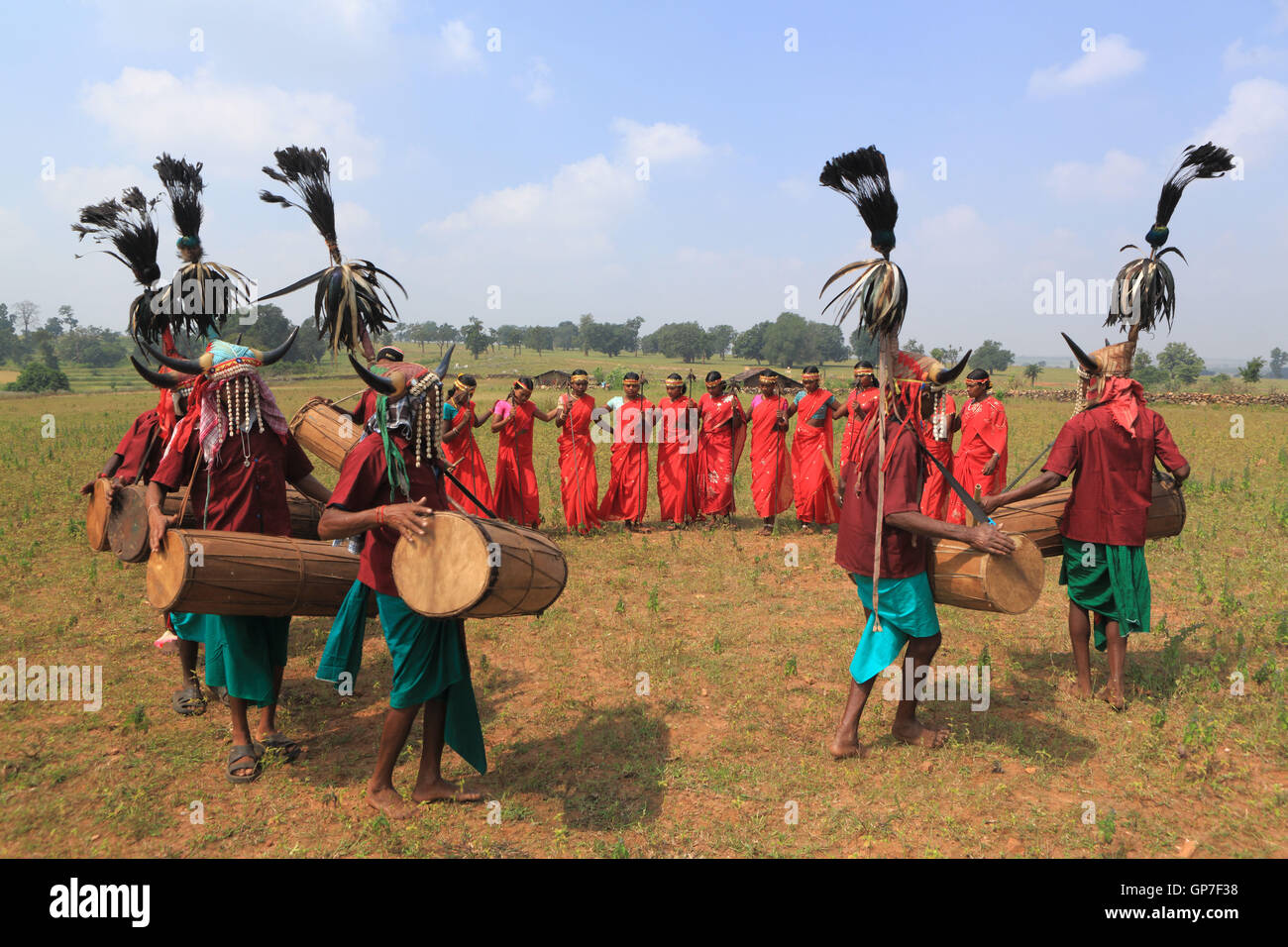 Bison horn dancers, bastar, chhattisgarh, india, asia Stock Photo - Alamy