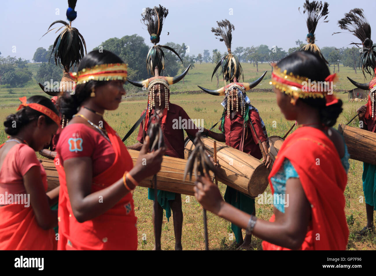Bison horn dancers, bastar, chhattisgarh, india, asia Stock Photo - Alamy