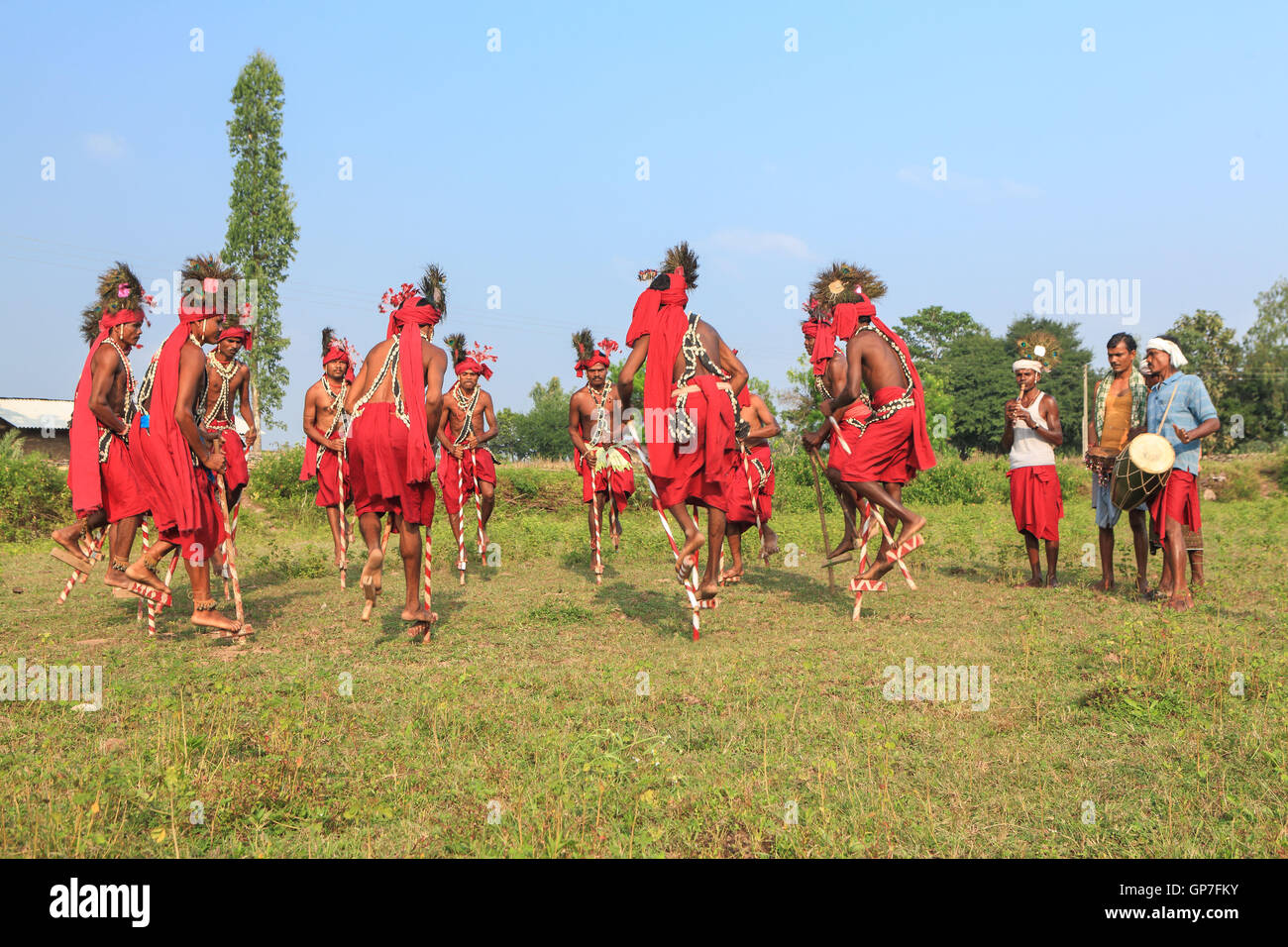 Gendi dance, bastar, chhattisgarh, india, asia Stock Photo - Alamy