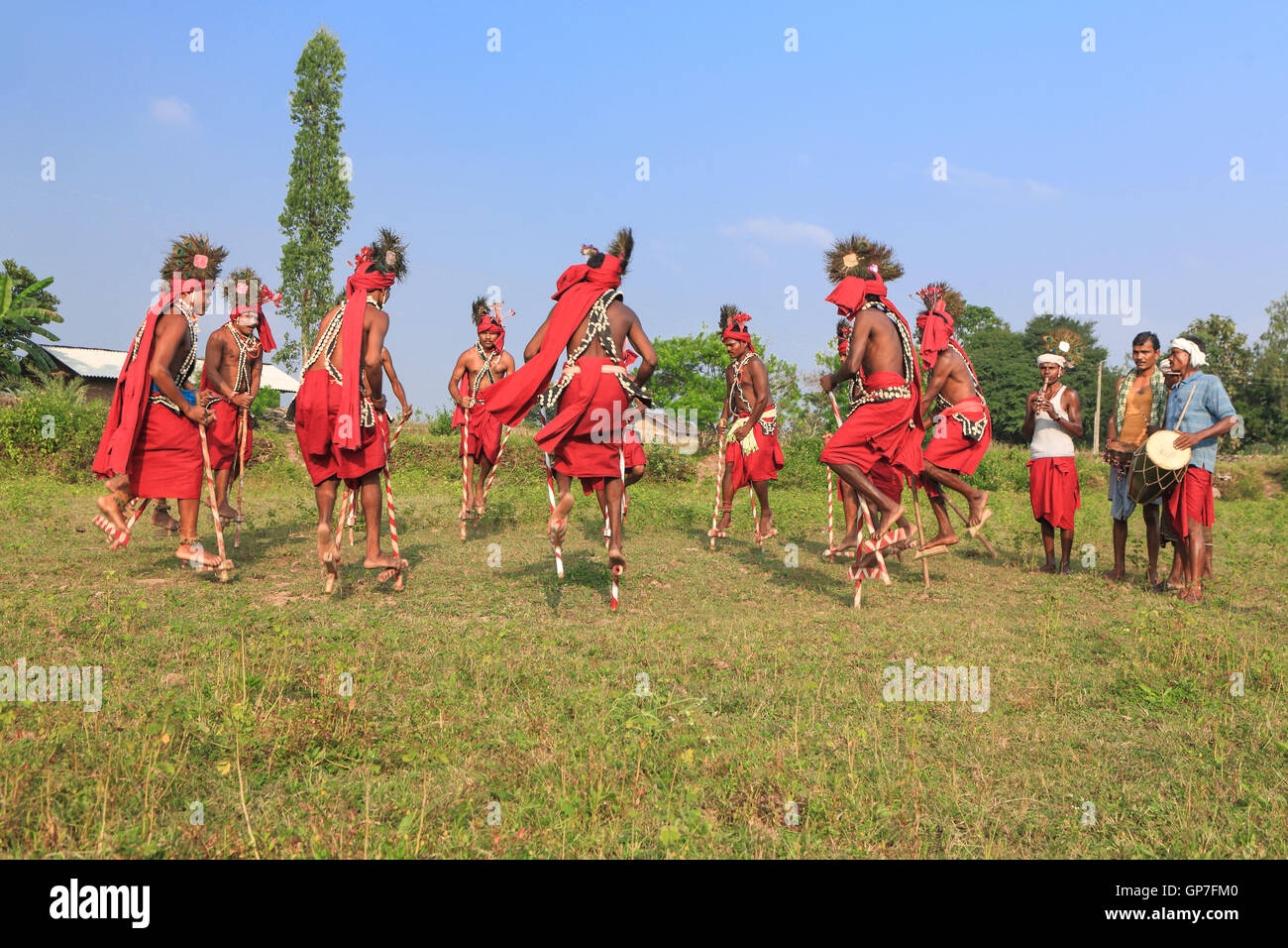 Gendi dance, bastar, chhattisgarh, india, asia Stock Photo - Alamy