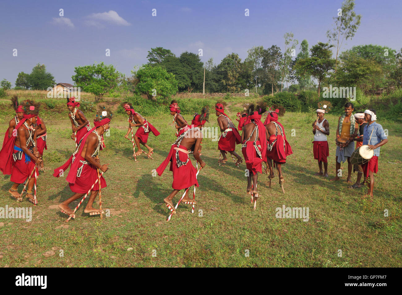 Gendi dance, bastar, chhattisgarh, india, asia Stock Photo - Alamy