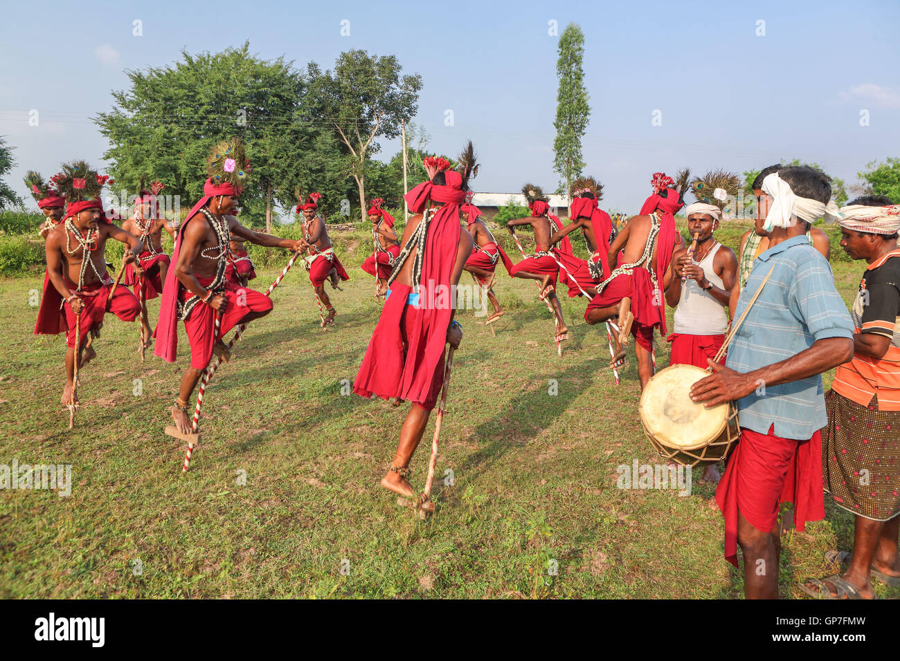 Gendi dance, bastar, chhattisgarh, india, asia Stock Photo - Alamy