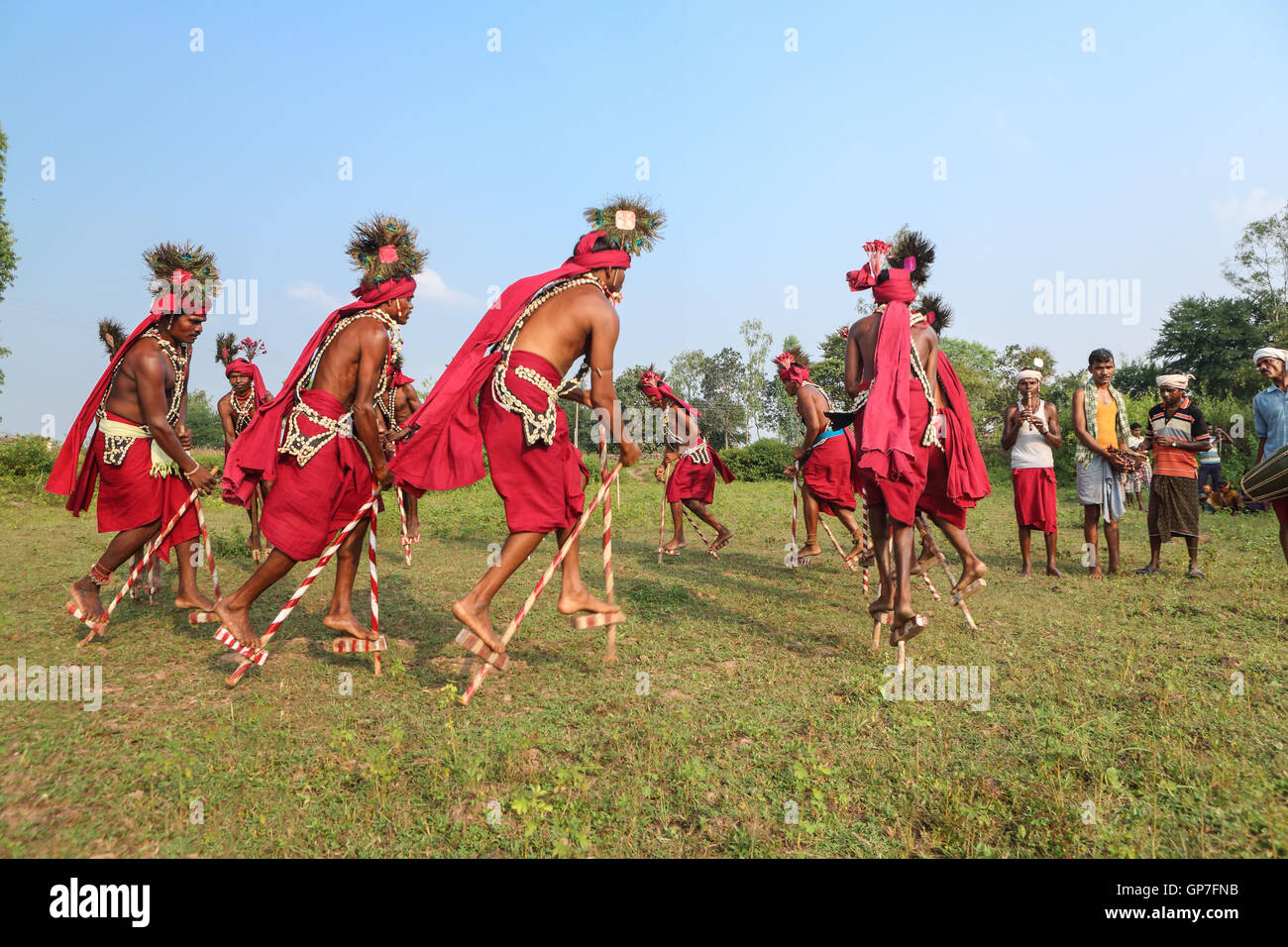 Gendi dance, bastar, chhattisgarh, india, asia Stock Photo - Alamy