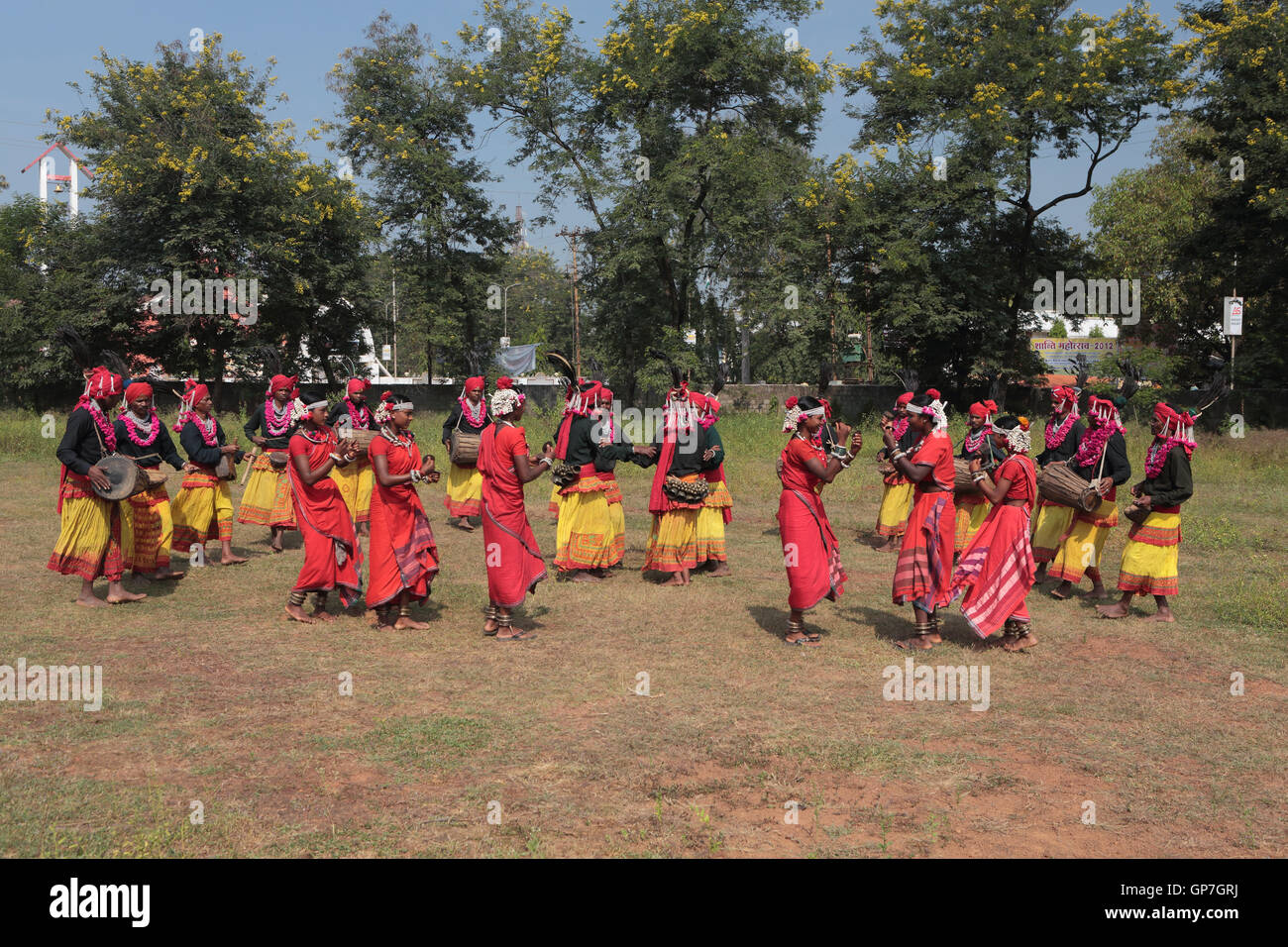 Mudia tribal dancer, jagdalpur, chhattisgarh, india, asia Stock Photo ...