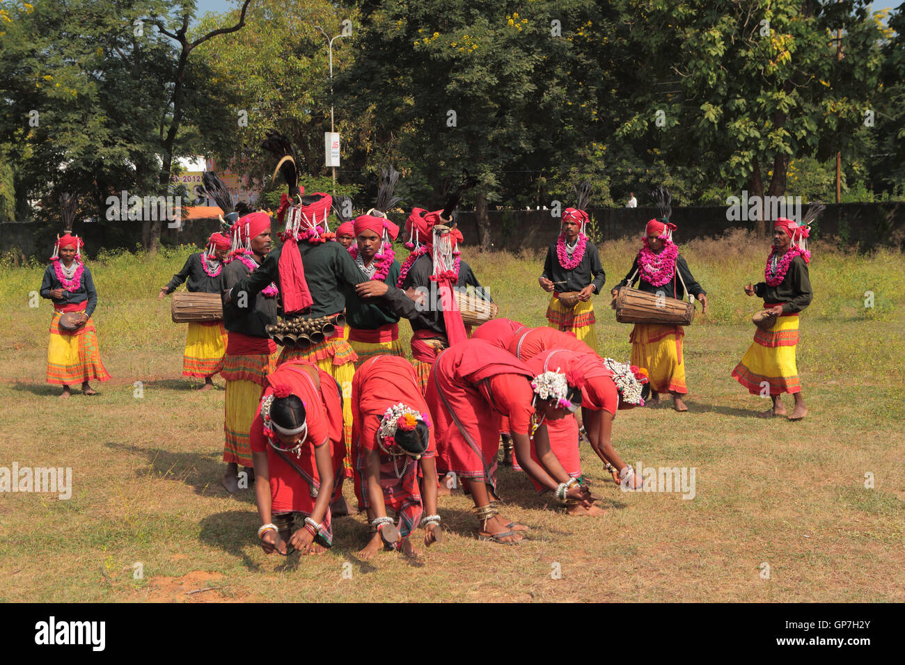 Mudia tribal dancer, jagdalpur, chhattisgarh, india, asia Stock Photo ...