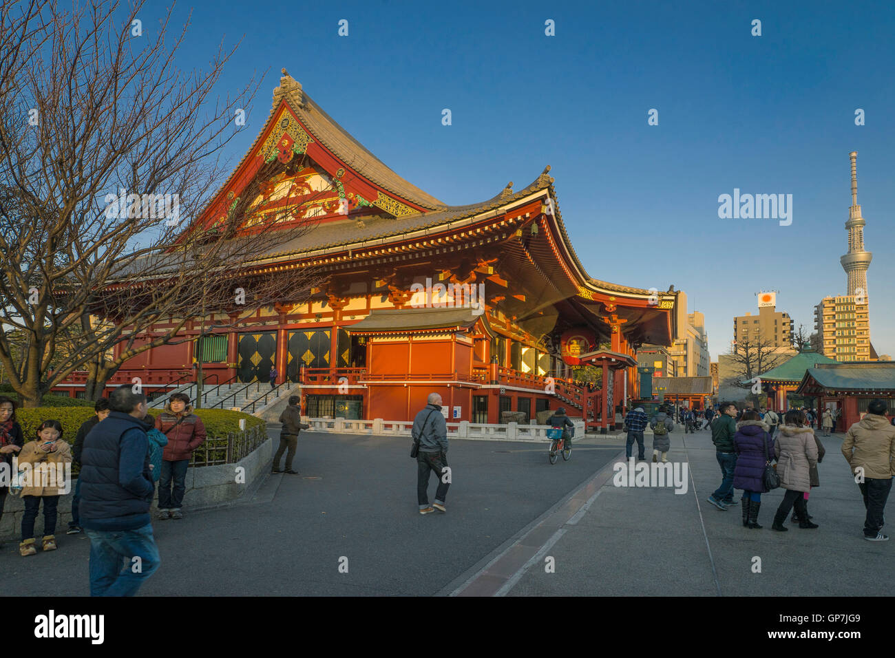Asakusa sensoji temple, tokyo, japan Stock Photo - Alamy