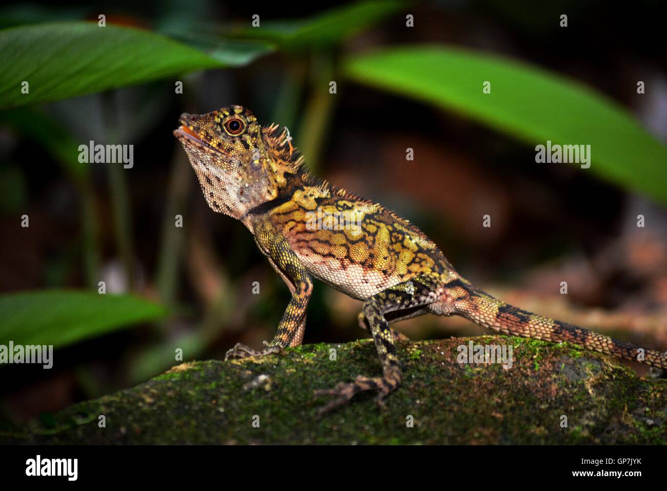 Female angle hi-res stock photography and images - Alamy