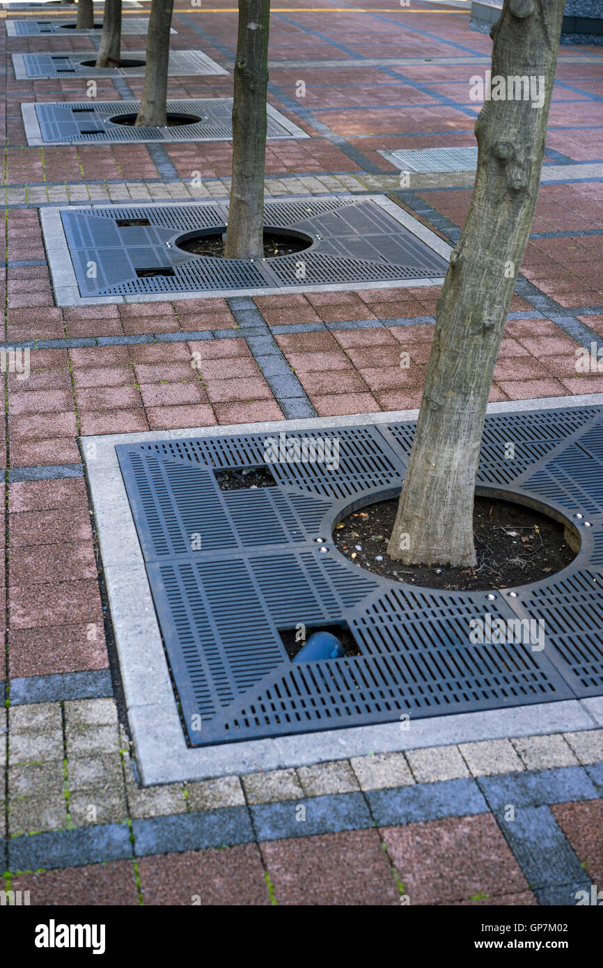 Trees with iron grill on streets hi-res stock photography and images ...