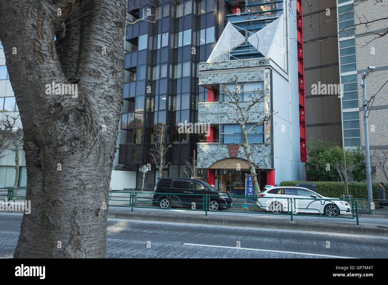Trees on streets, tokyo, japan Stock Photo - Alamy