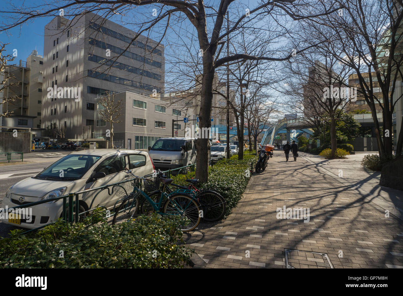 Trees on footpath, tokyo, japan Stock Photo - Alamy