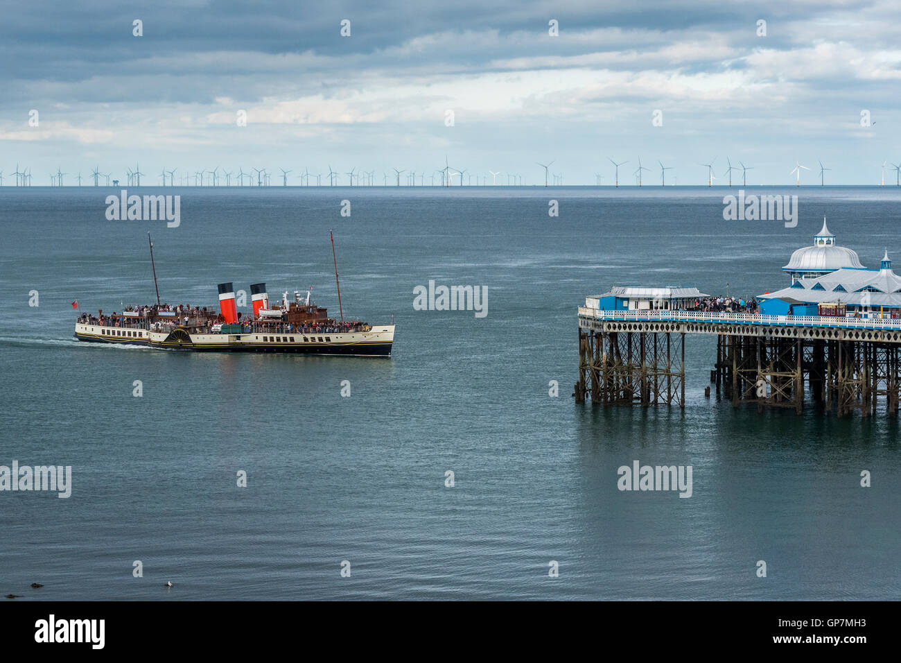 The Waverley Boat High Resolution Stock Photography and Images - Alamy