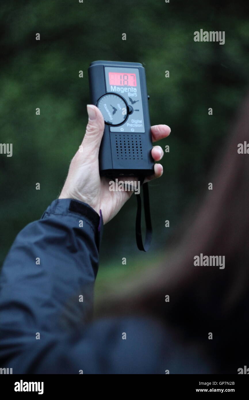 A woman holds a bat detector on an evening guided bat identification ...
