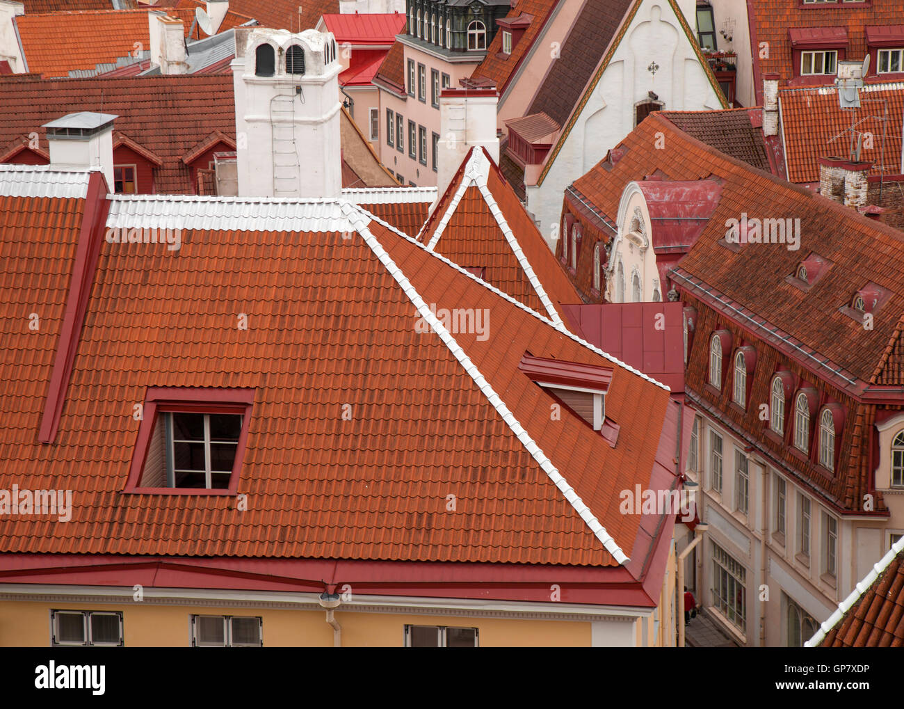 Old Tallin rooftops, red tile and old style roofs from observation ...
