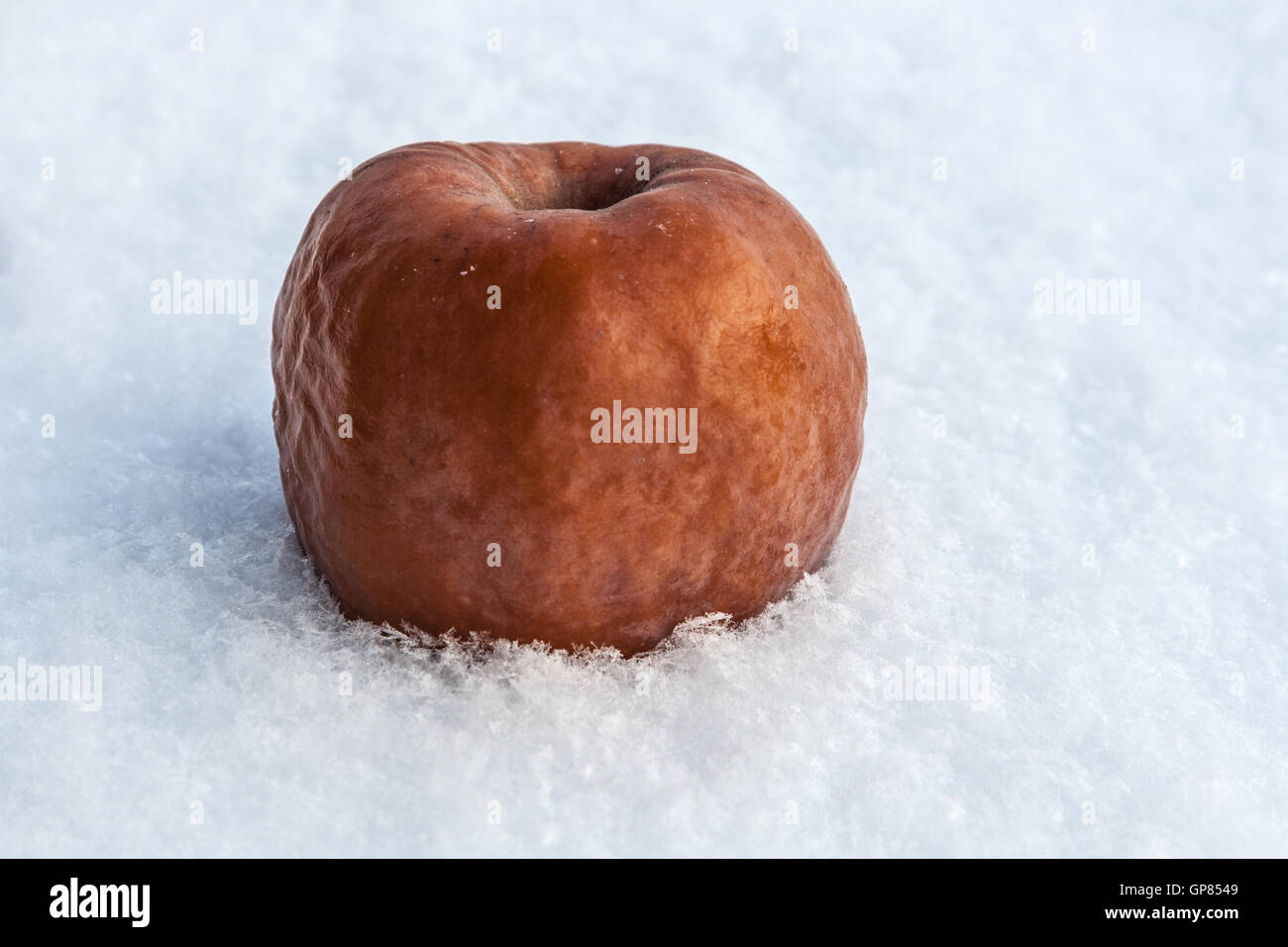 the frozen apple on snow Stock Photo - Alamy